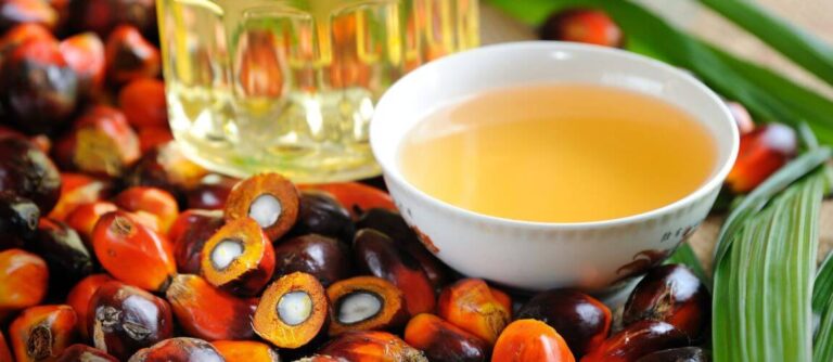 مولدات النيتروجين في صناعة زيت النخيل - أوكسي نيترا